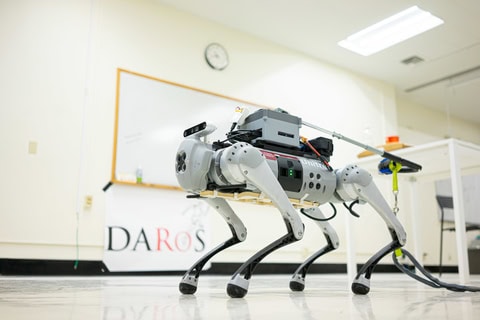 Robotic Guide Dogs for the Visually Impaired - PPI